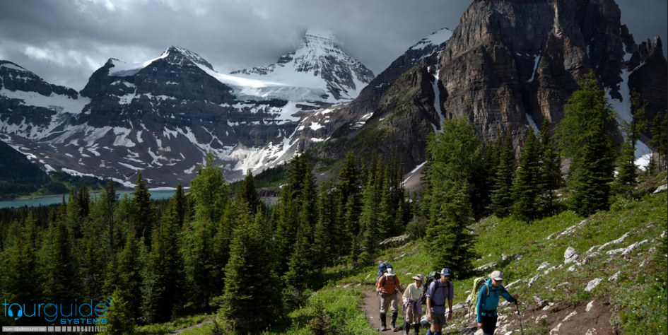 Social Distancing on Walking Tours – the New Normal for Tour guides ...